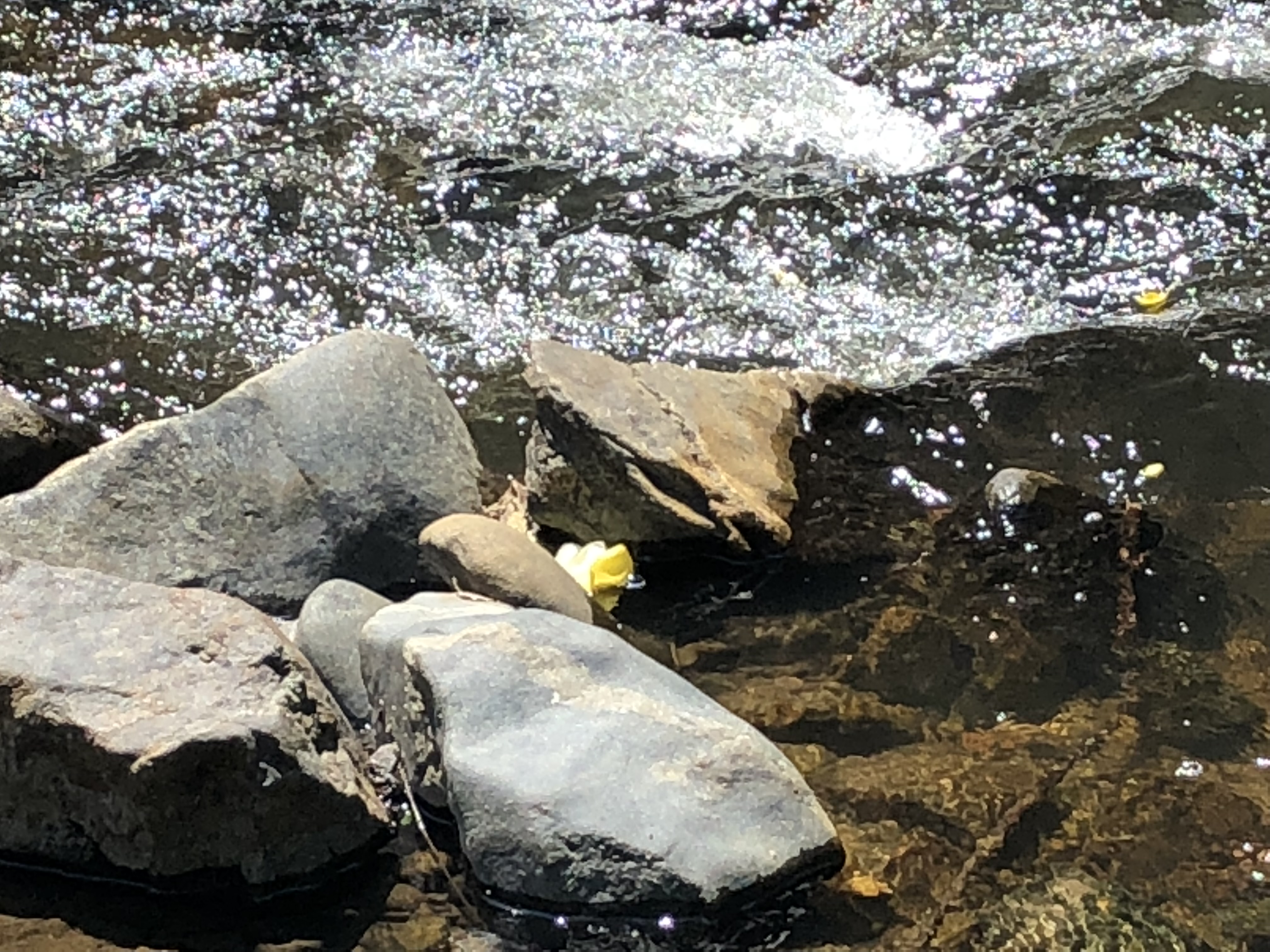 How to Release Emotions at the River – ewassa